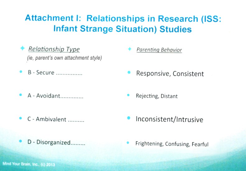 The Human Attachment System | Pathways Of Mine(d)