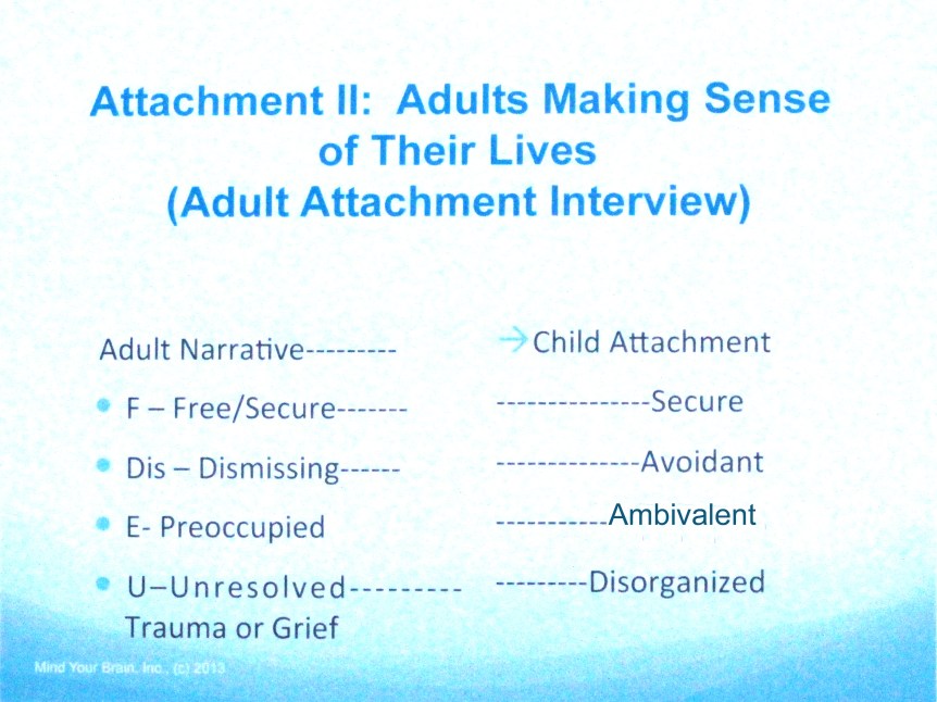 The Human Attachment System | Pathways Of Mine(d)